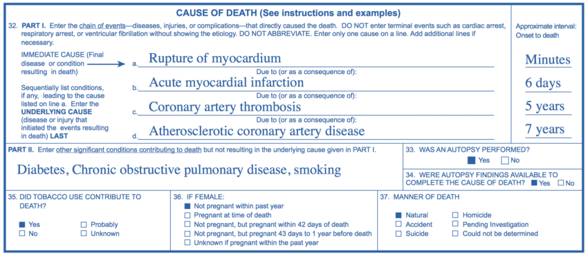 Cause of Death - Christina VandePol